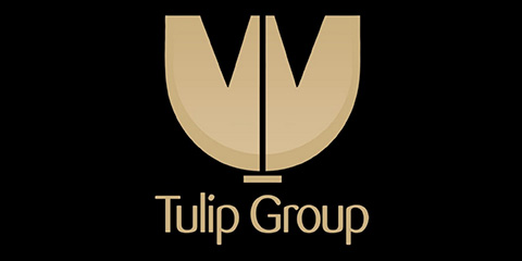 Tulip Group - Beyond Models